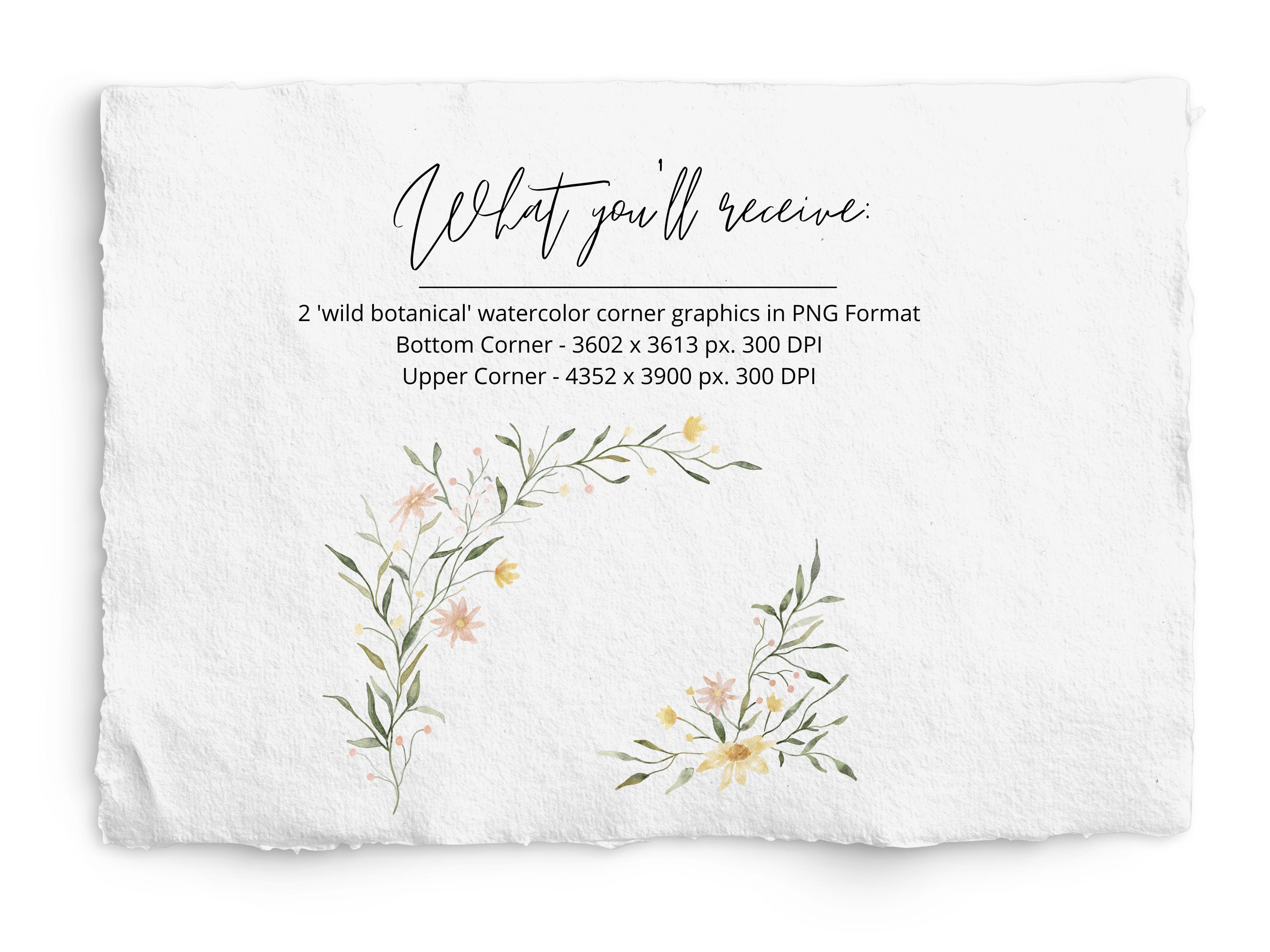 Watercolor Wildflower Corner Frame PNG, Wild Flower Frame, Flower PNG ...