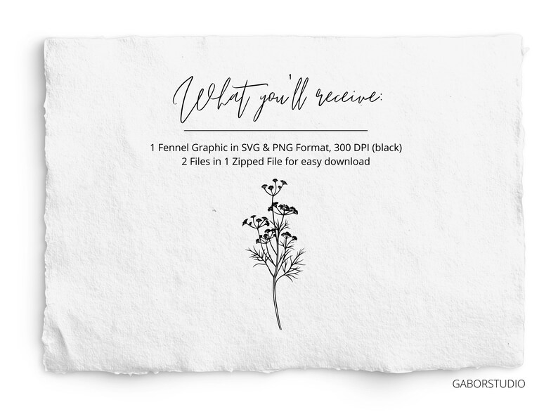 Fennel SVG and PNG, Botanical Hand Drawn Apothecary Elements, Herb ...