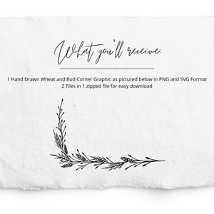 Wheat Corner Frame SVG, Hand Drawn Harvest Border SVG, Thanksgiving ...