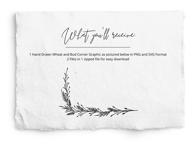 Wheat Corner Frame SVG, Hand Drawn Harvest Border SVG, Thanksgiving ...