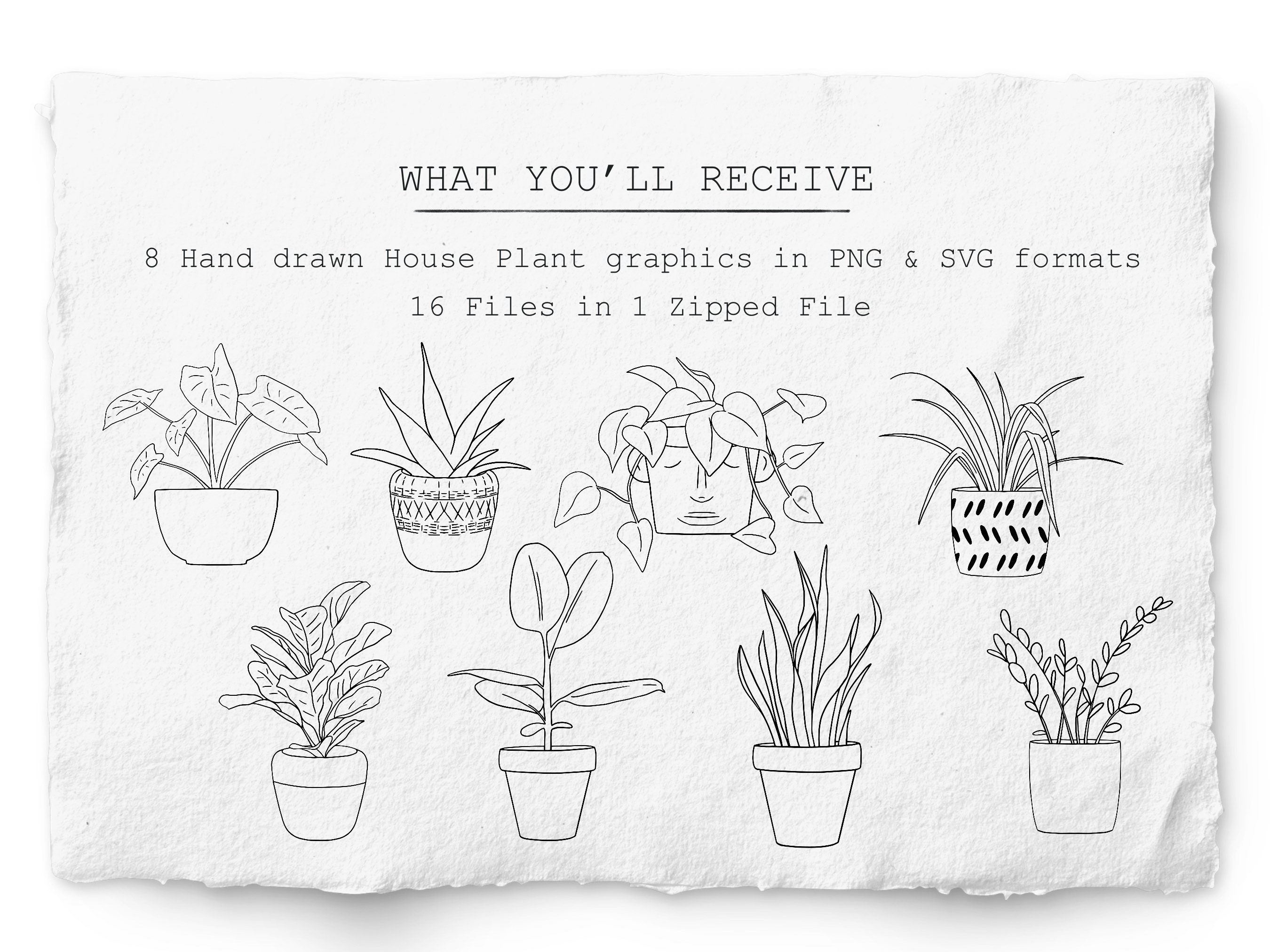 House Plants SVG, Hand Drawn Bohemian, Digi Stamp, PNG, Pothos, Snake ...