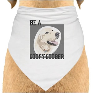 Goober Dog Collar - Etsy