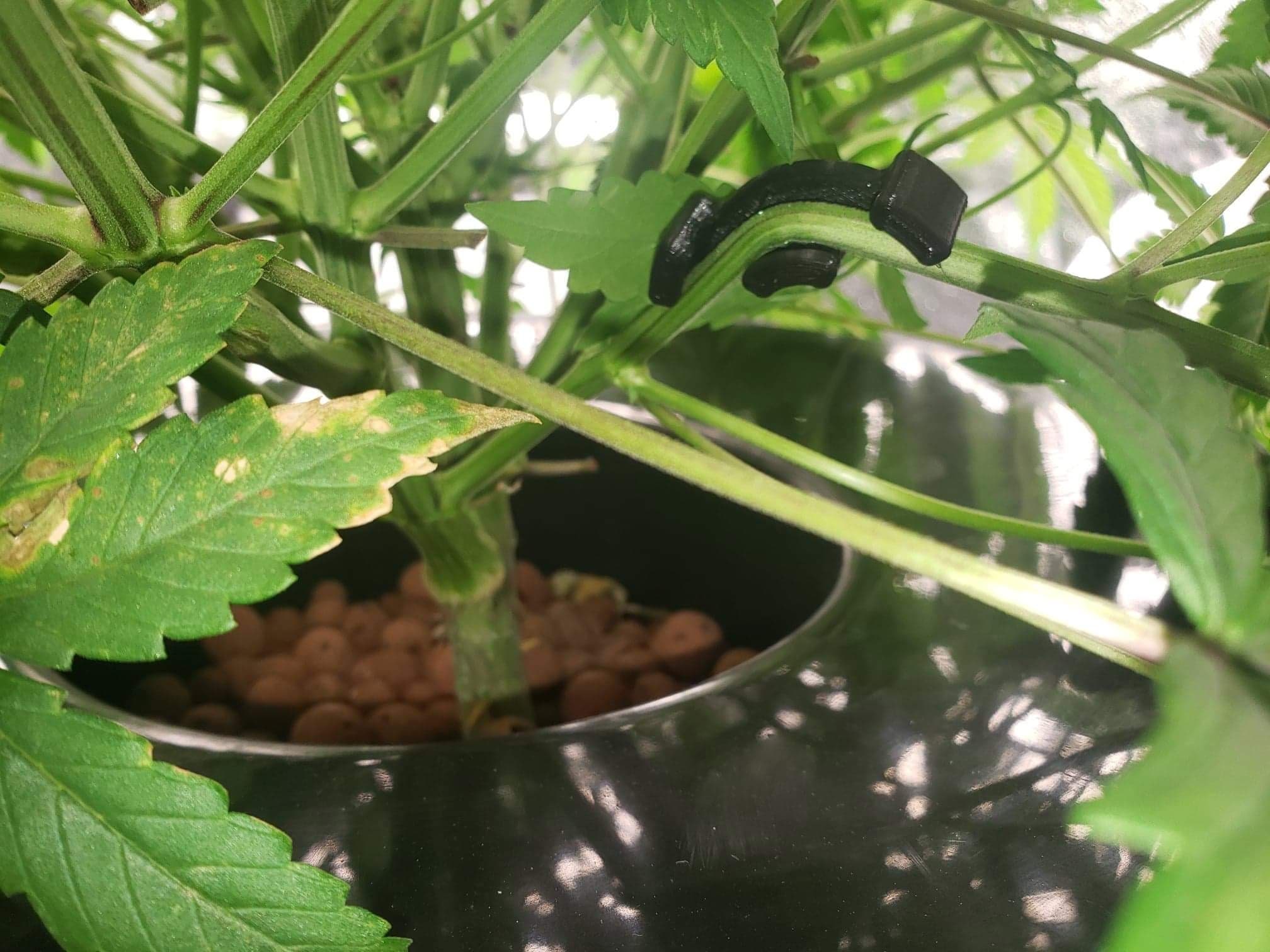 LST Clips, Low Stress Trainer, Pflanzen Trainer - Etsy.de