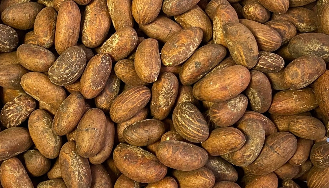 Les petits Colas, Petit Colas, Petit cola aux noix, Cola Accuminata, 40 ...