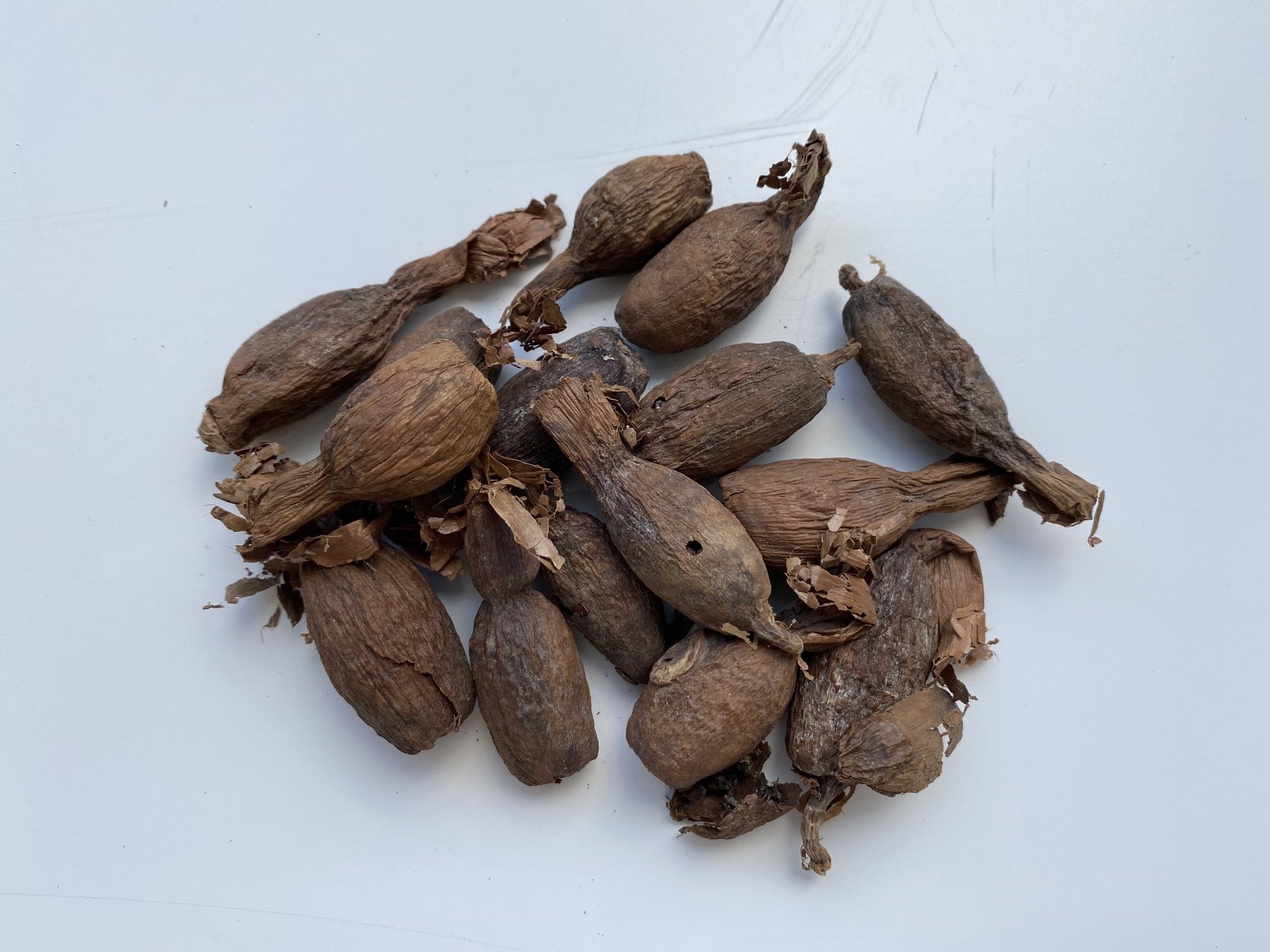 NDong, maniguette, grains de paradis, alligator poivre,poivre de Guinée ...