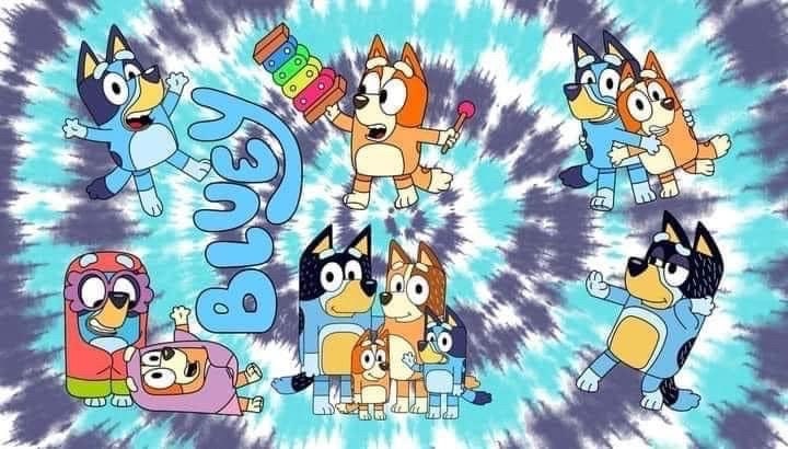 NOT DIGITAL DOWNLOAD Bluey Print Ready to Use Ready to Press Transfer ...