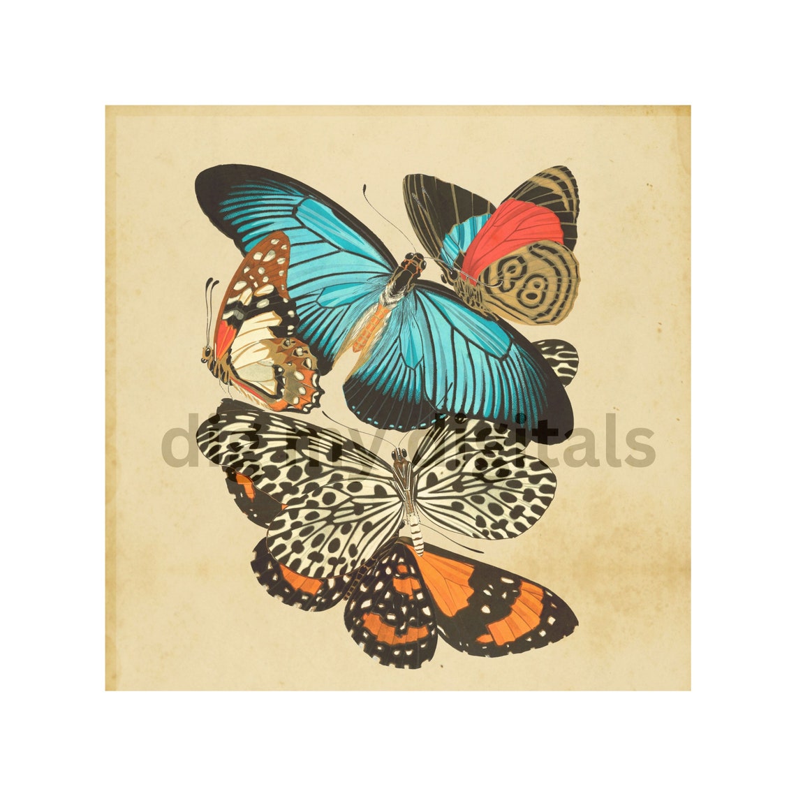 8 Butterfly Clip Art, Printable Clipart, Jpg, Digital Download ...