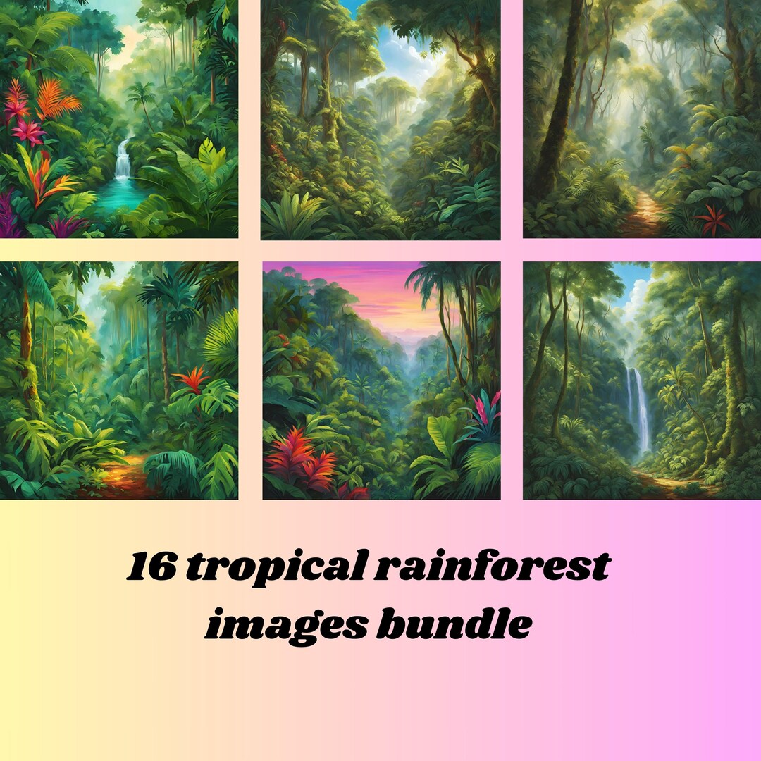 16 Tropical Rainforest Bundle, Clip Art, Printable Clipart, Jpg ...