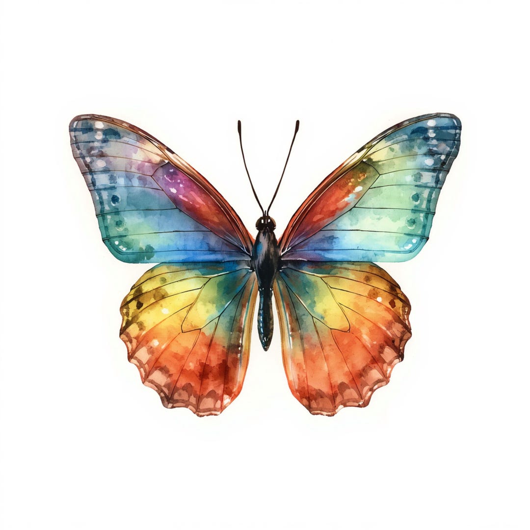 12 Butterfly Clip Art Downloads, Digital, Jpg - Etsy