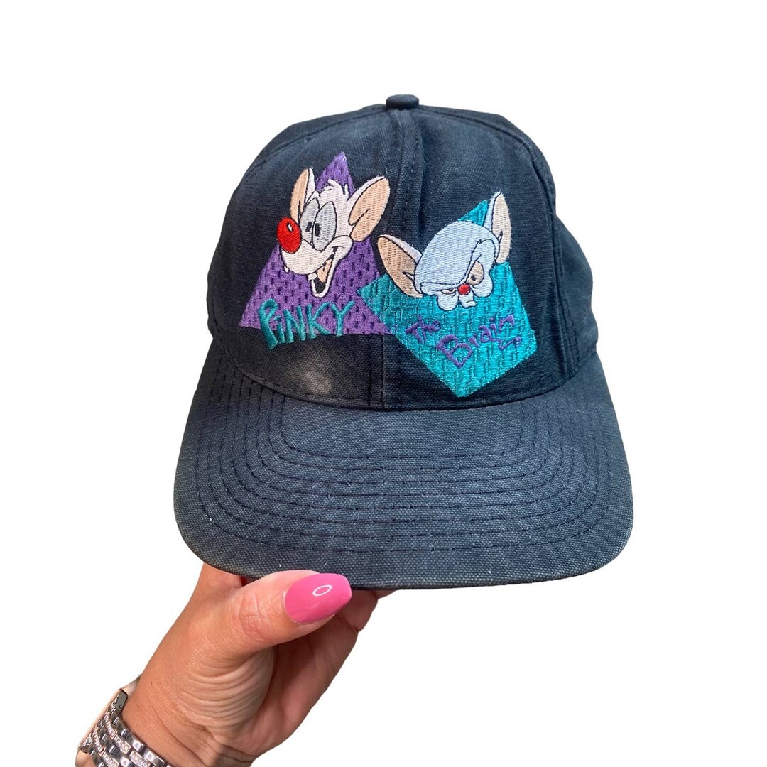 Rare Vintage 90s Pinky and the Brain WB Snapback Baseball Cap Hat ...