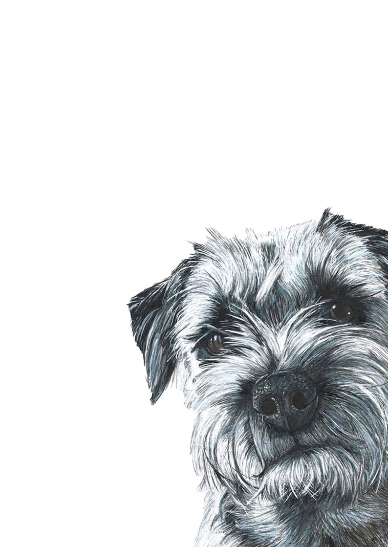 Border Terrier Art Card, Pen & Ink Dog Portrait - Etsy UK