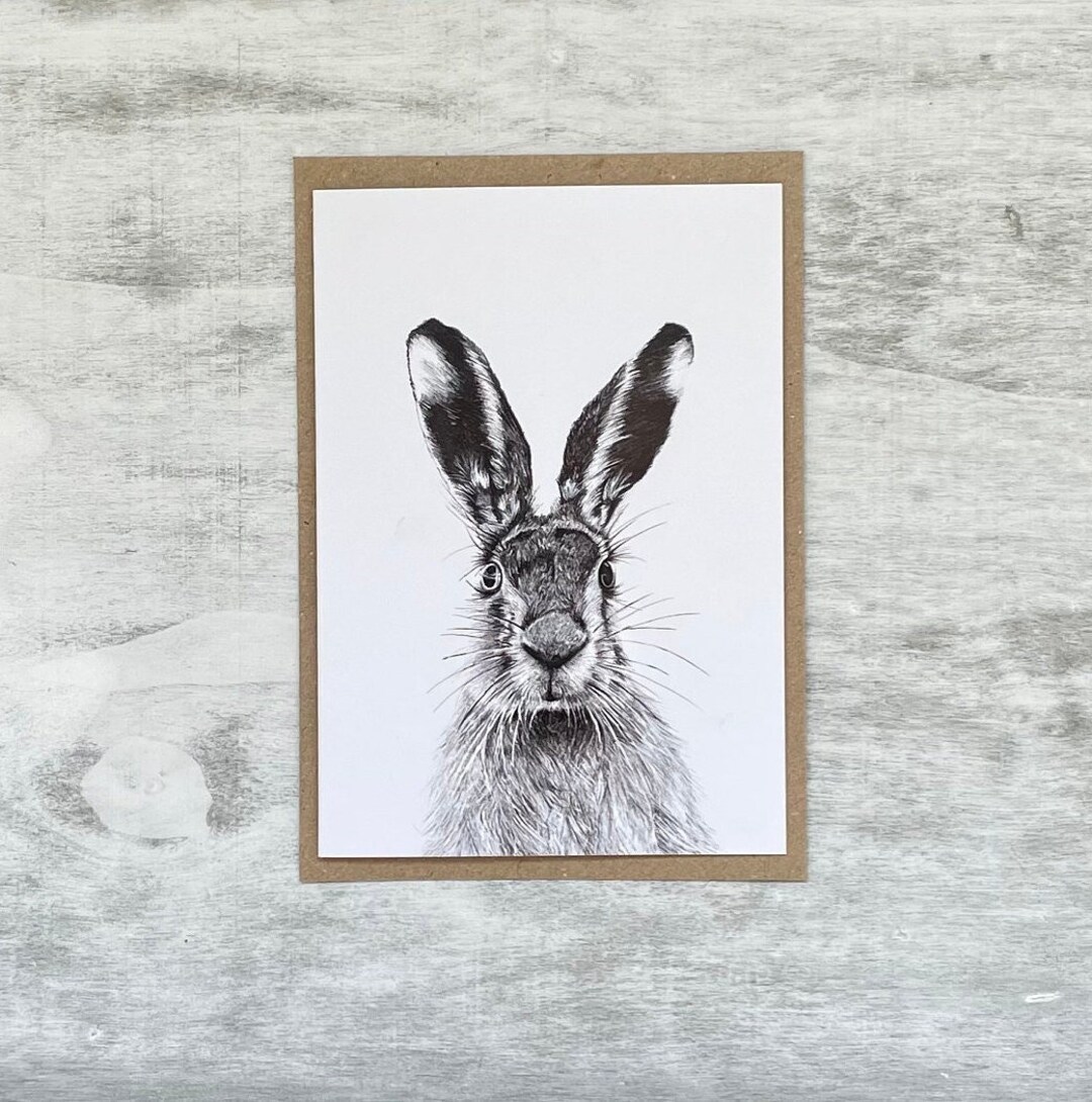 March Hare Card, Pen and Ink Wildlife Art Card - Etsy