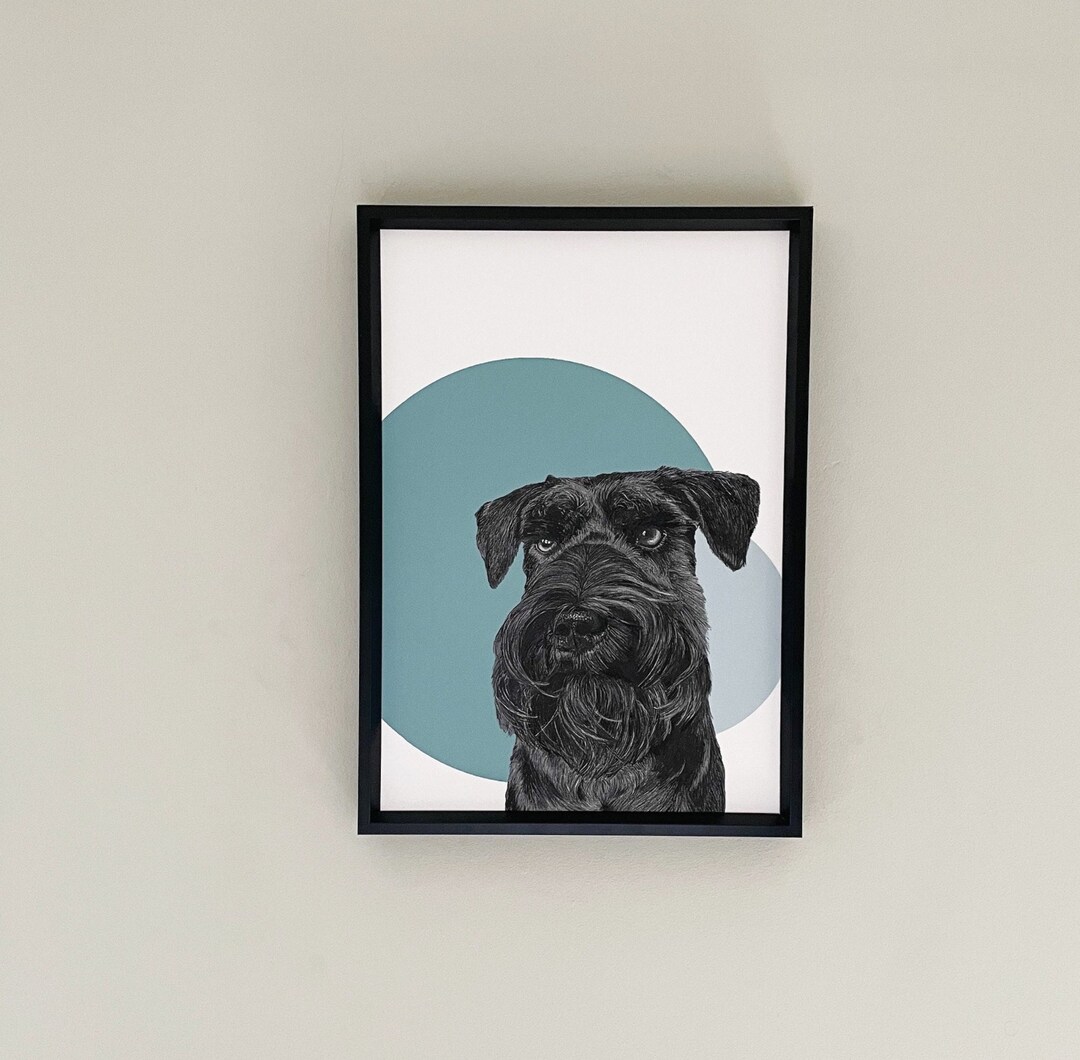 NEW DESIGN Dog Drawing A4 Print Miniature Black Schnauzer - Etsy