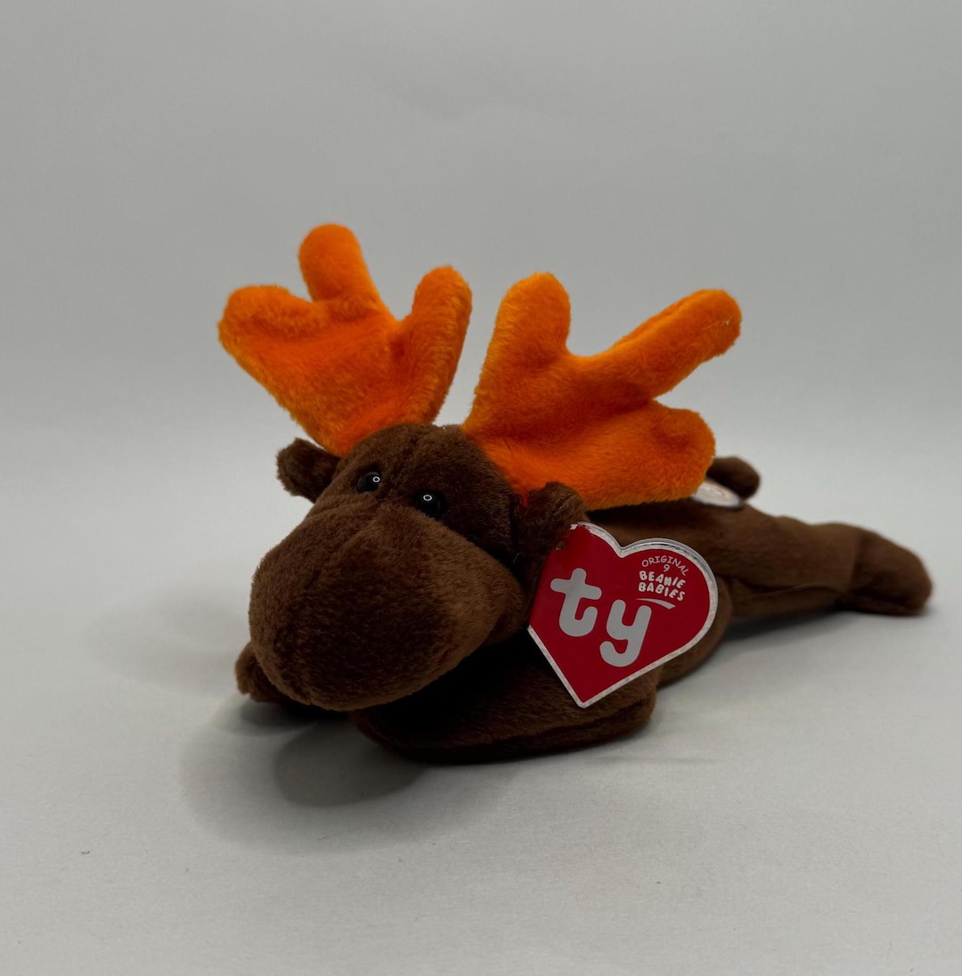 Ty "chocolate Bboc" the Bear Beanie Baby, Vintage, Rare and Retired - Etsy