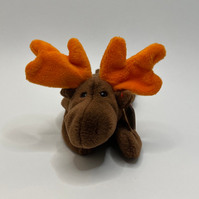 Chocolate Moose - Etsy