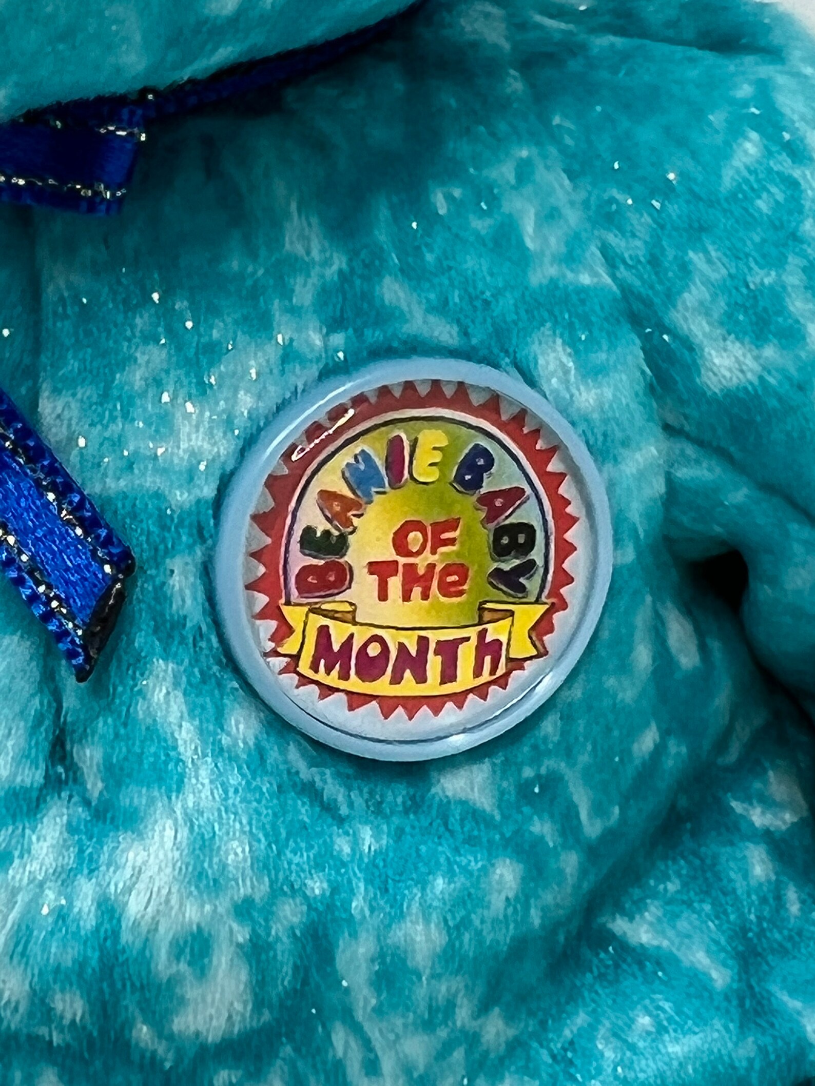 Ty sparkles the Bear Beanie Baby of the Month - Etsy