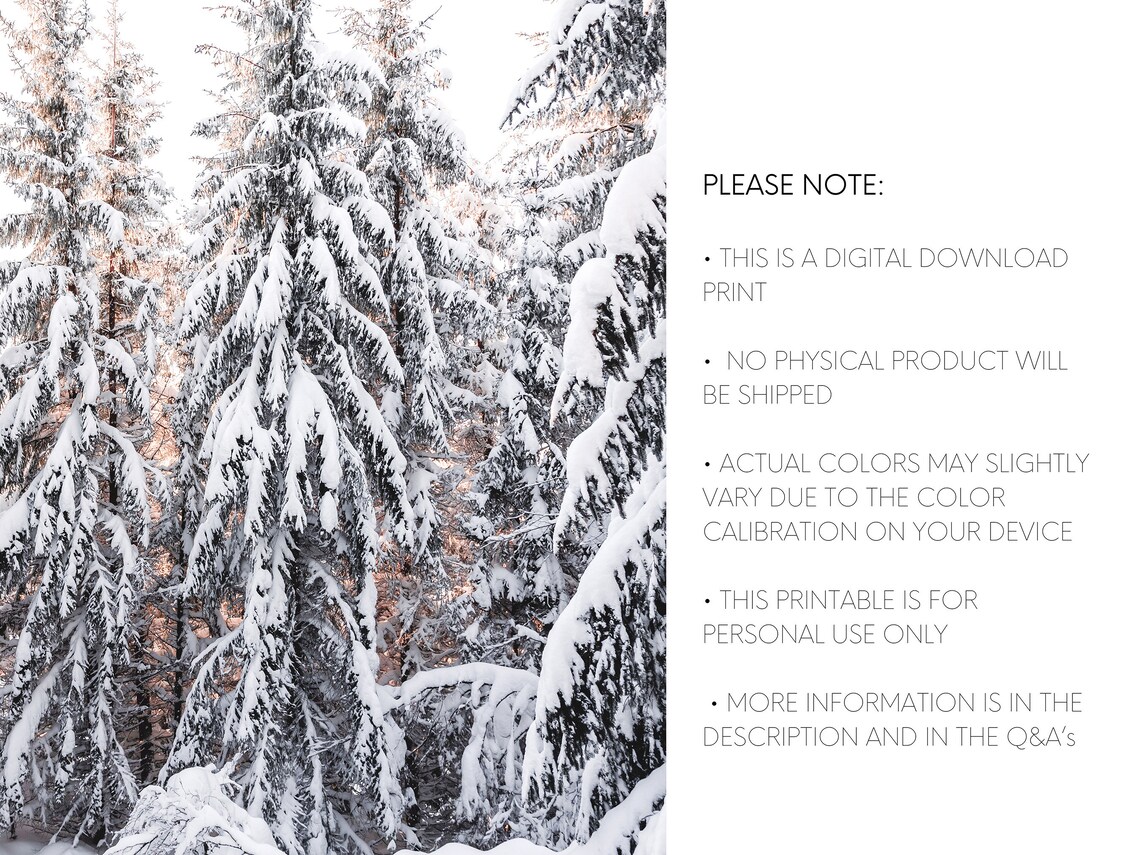 Winter Wonderland Printable Set of 3 Christmas Gallery Wall - Etsy