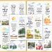 Printable LDS Bookmarks | LDS Quotes, Bible Verses, Book of Mormon ...