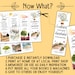 Printable LDS Bookmarks | LDS Quotes, Bible Verses, Book of Mormon ...