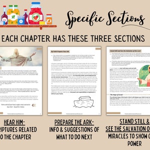 The Ultimate Guide to LDS Food Storage | Food Storage Guide | LDS Books ...