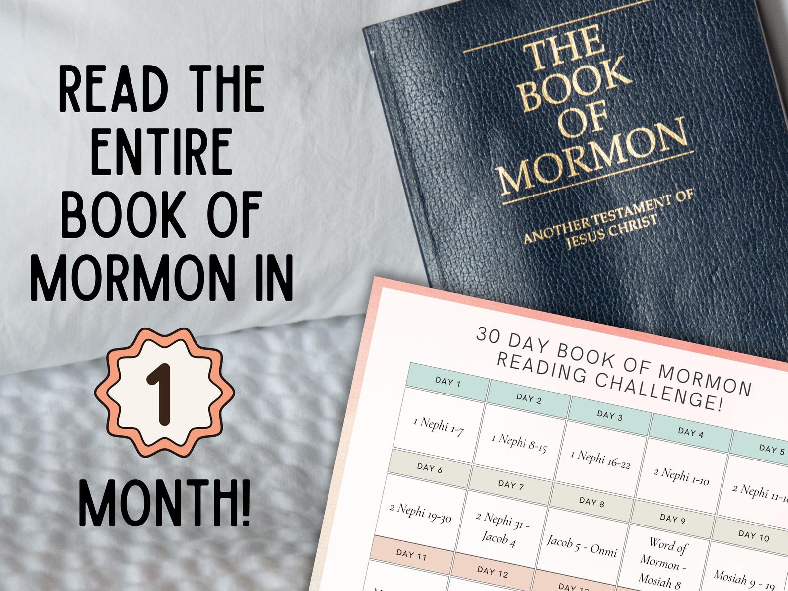 30 Day Book of Mormon Reading Chart | Printable Reading Chart | LDS ...