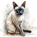 Siamese Cat Clip Art 12 High Quality Images Digital Planner, Watercolor ...