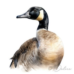 Canadian Goose Clip Art - 12 High Quality Images - Digital Planner ...