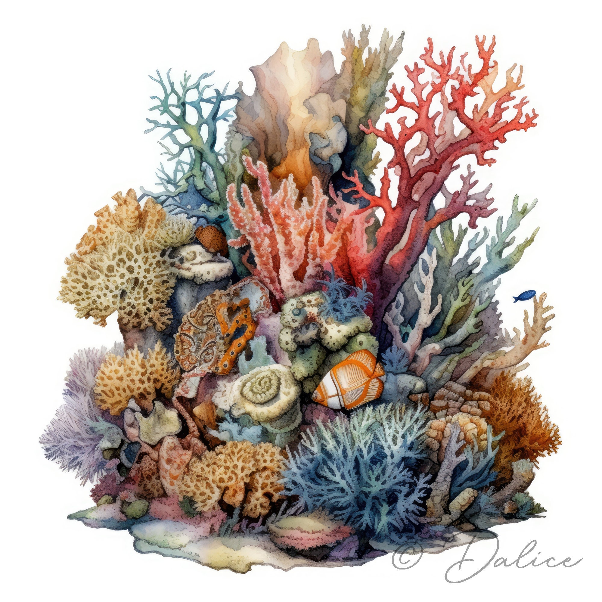 Coral Reef Clip Art 12 High Quality Images Digital - Etsy