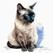 Siamese Cat Clip Art 12 High Quality Images Digital Planner, Watercolor ...