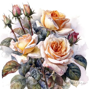 Hybrid Tea Roses Clip Art - 12 High Quality Images - Digital Planner ...