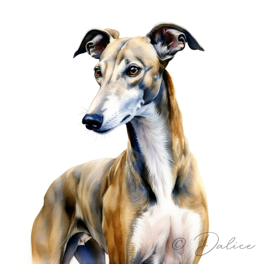 Greyhound Clip Art - 12 High Quality Images - Digital Planner ...