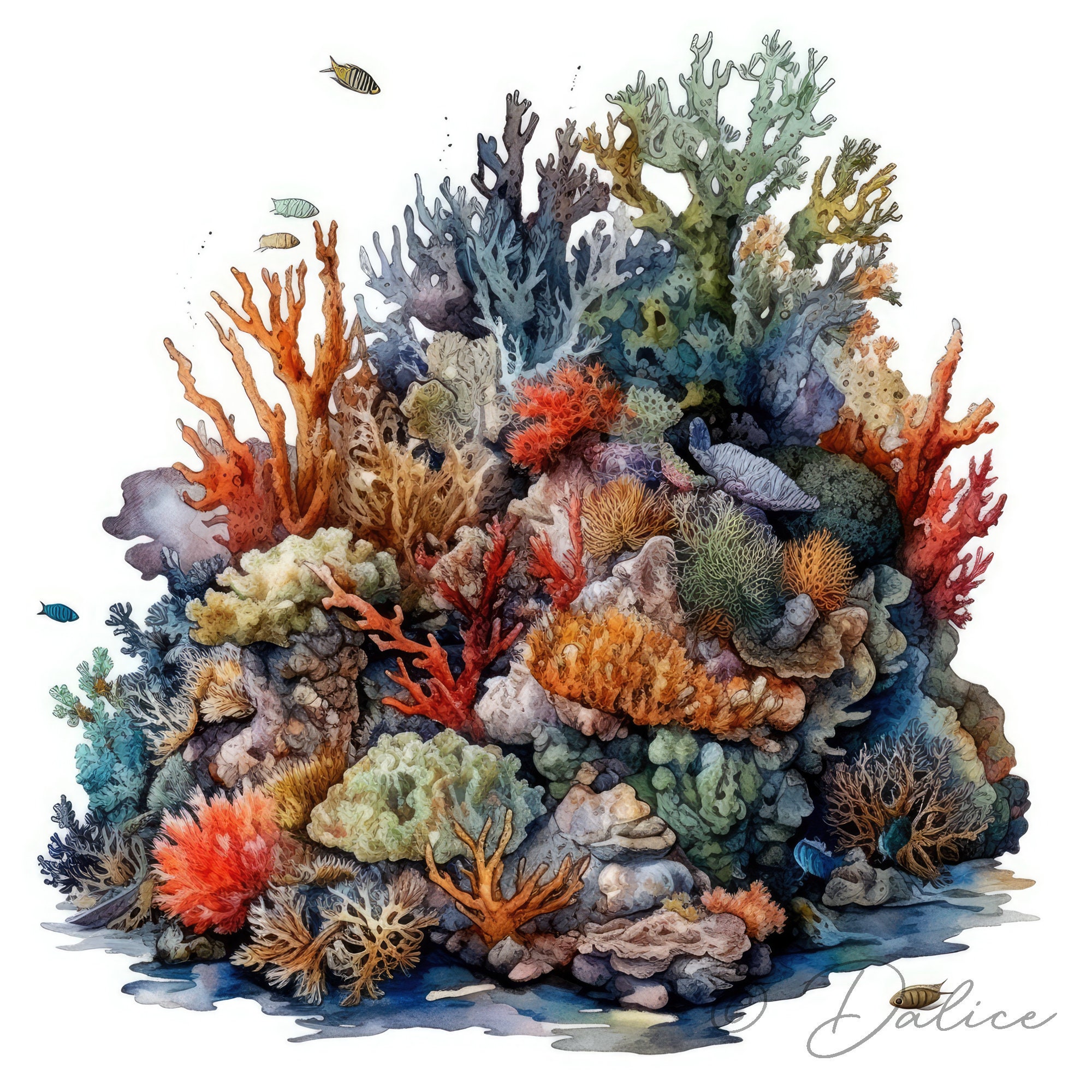 Coral Reef Clip Art 12 High Quality Images Digital - Etsy
