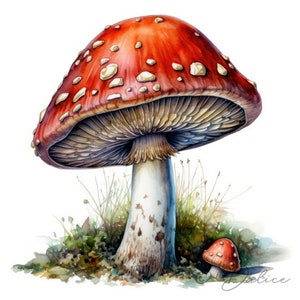 Toadstool Clip Art - 12 High Quality Images - Digital Planner ...
