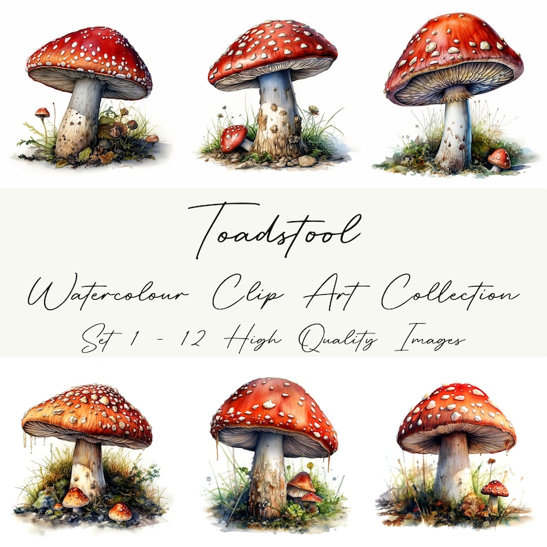 Toadstool Clip Art 12 High Quality Images Digital Planner - Etsy