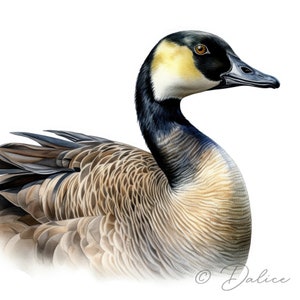 Canadian Goose Clip Art - 12 High Quality Images - Digital Planner ...