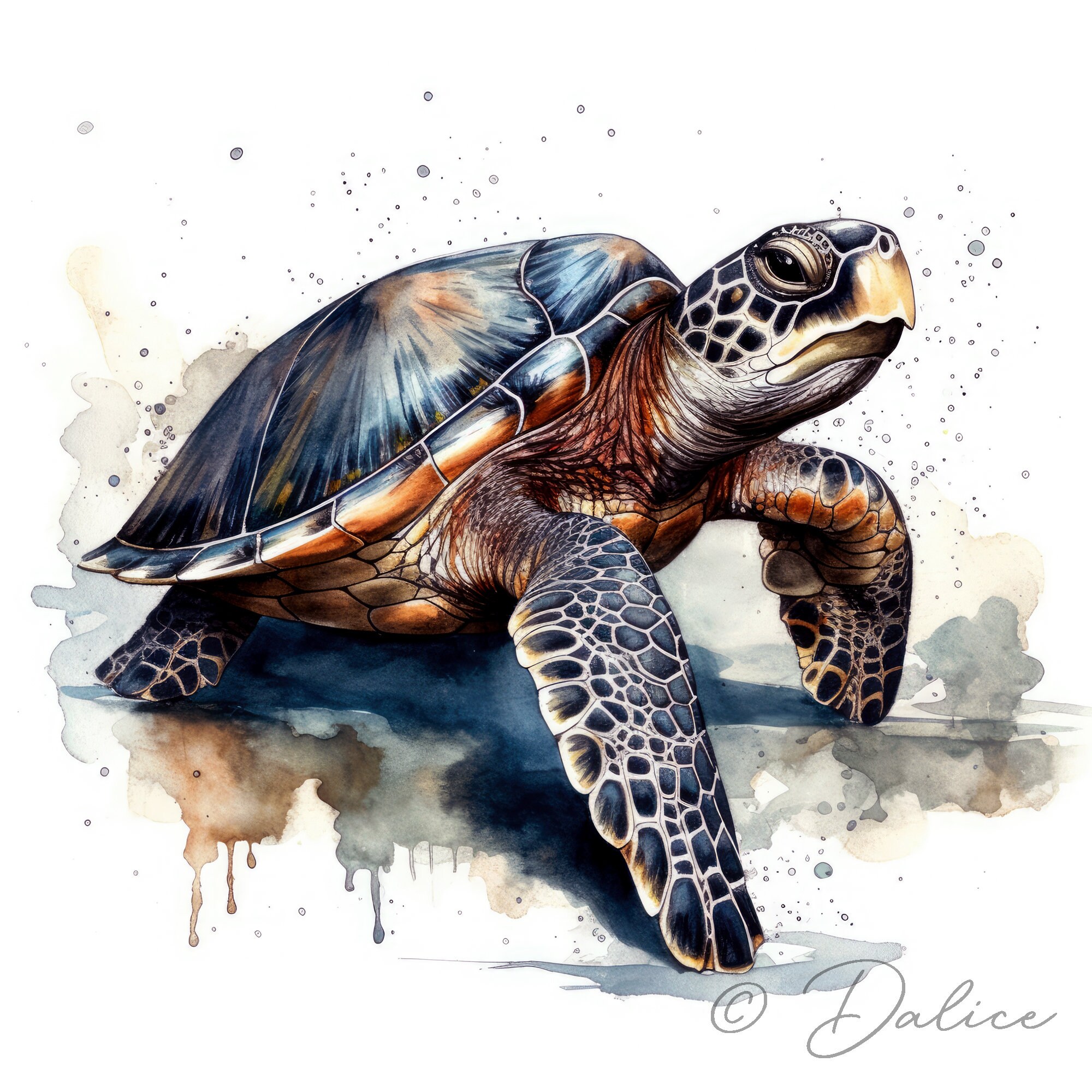 Sea Turtle Clip Art 12 High Quality Images Digital - Etsy