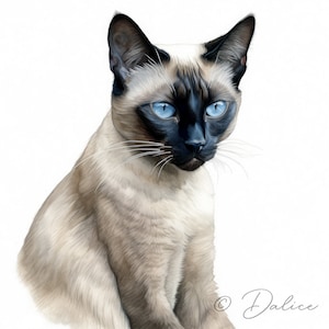 Siamese Cat Clip Art - 12 High Quality Images - Digital Planner ...
