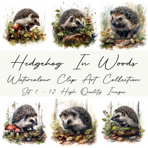 Hedgehog in Woods Clip Art - 12 High Quality Images - Digital Planner ...