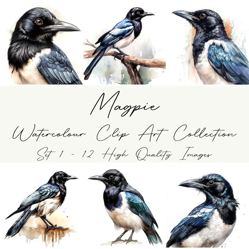 Magpie Clip Art 12 High Quality Images Digital Planner - Etsy