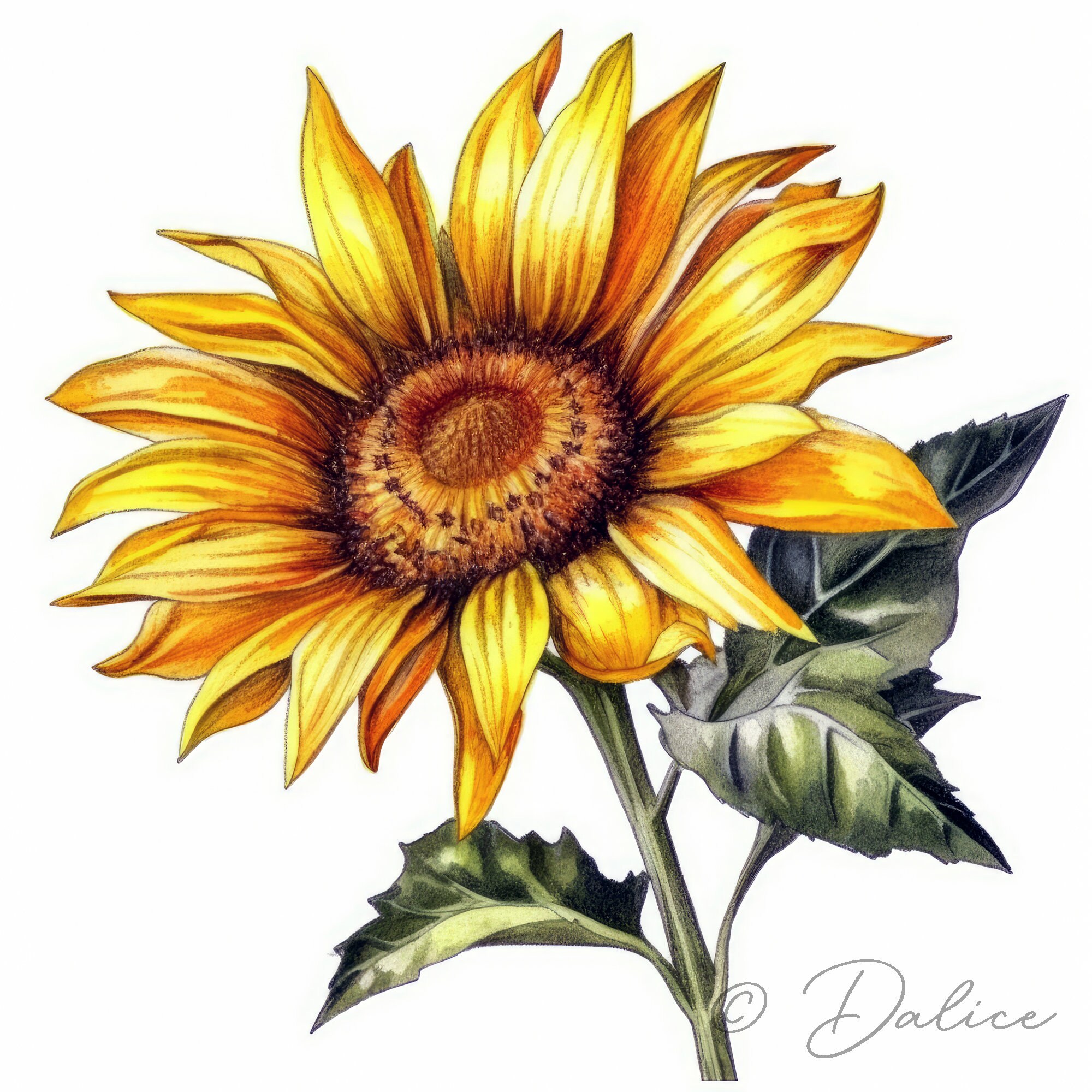 Sunflower Clip Art 12 High Quality Images Digital Planner, Watercolor ...