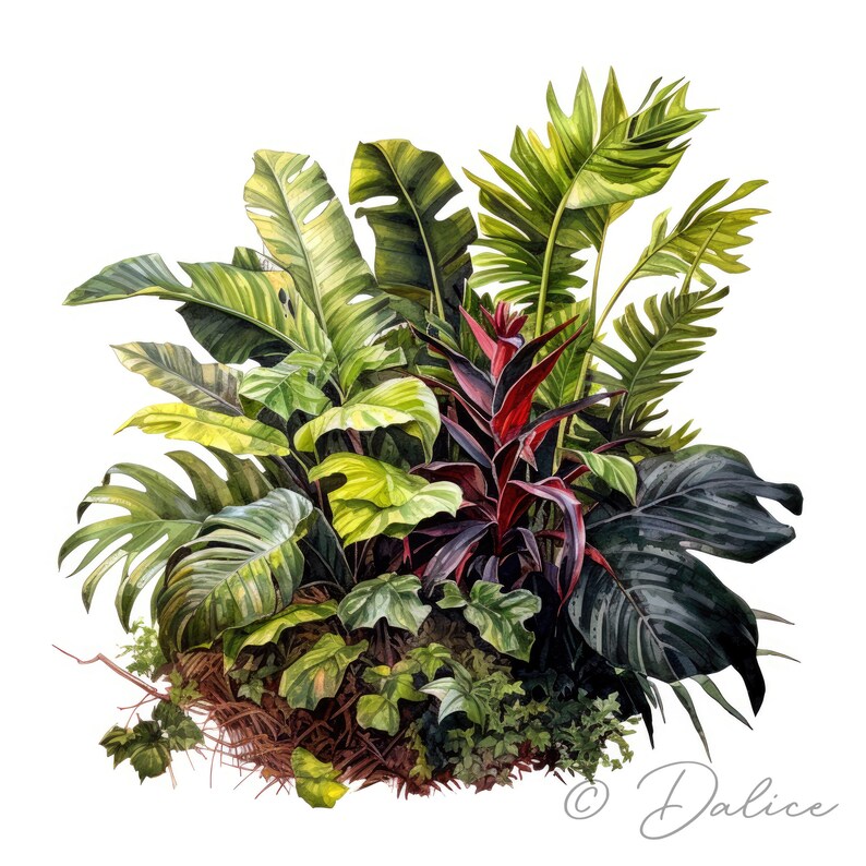 Tropical Plants Clip Art 12 High Quality Images Digital - Etsy