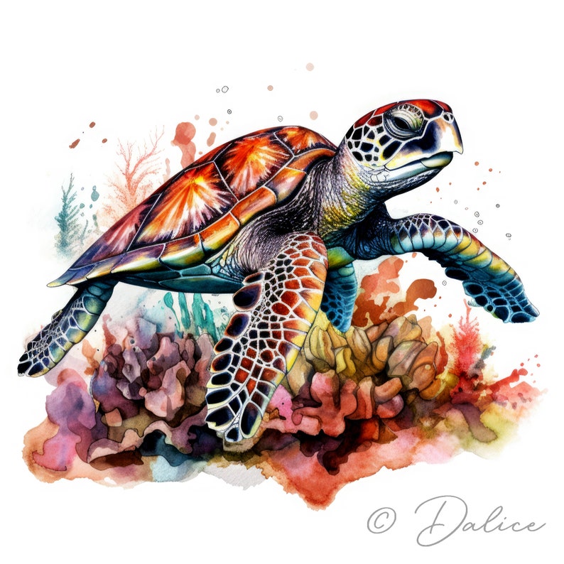 Sea Turtle Clip Art 12 High Quality Images Digital - Etsy