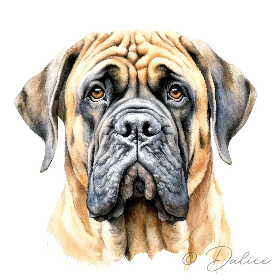 English Mastiff Clip Art - 12 High Quality Images - Digital Planner ...