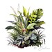 Tropical Plants Clip Art 12 High Quality Images Digital - Etsy