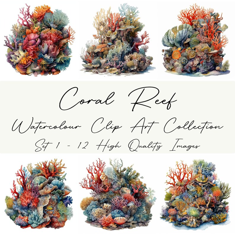 Coral Reef Clip Art 12 High Quality Images Digital - Etsy
