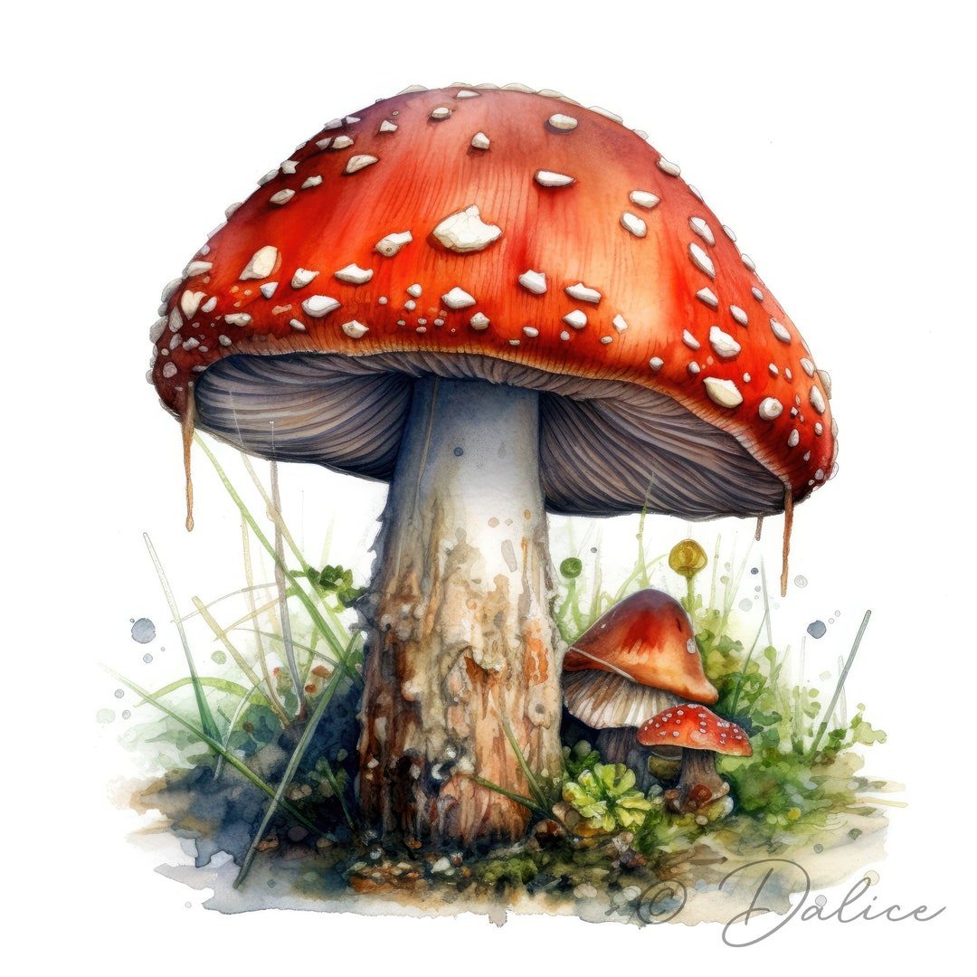 Toadstool Clip Art - 12 High Quality Images - Digital Planner ...