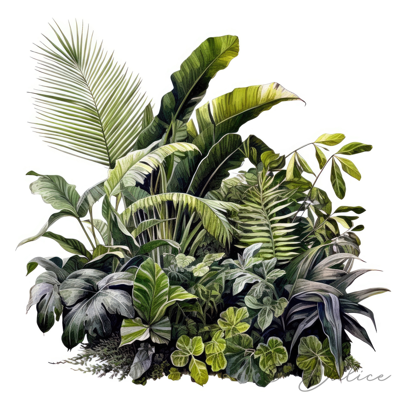 Tropical Plants Clip Art 12 High Quality Images Digital - Etsy