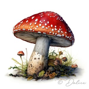 Toadstool Clip Art - 12 High Quality Images - Digital Planner ...