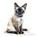Siamese Cat Clip Art 12 High Quality Images Digital Planner, Watercolor ...
