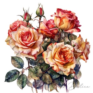 Hybrid Tea Roses Clip Art - 12 High Quality Images - Digital Planner ...